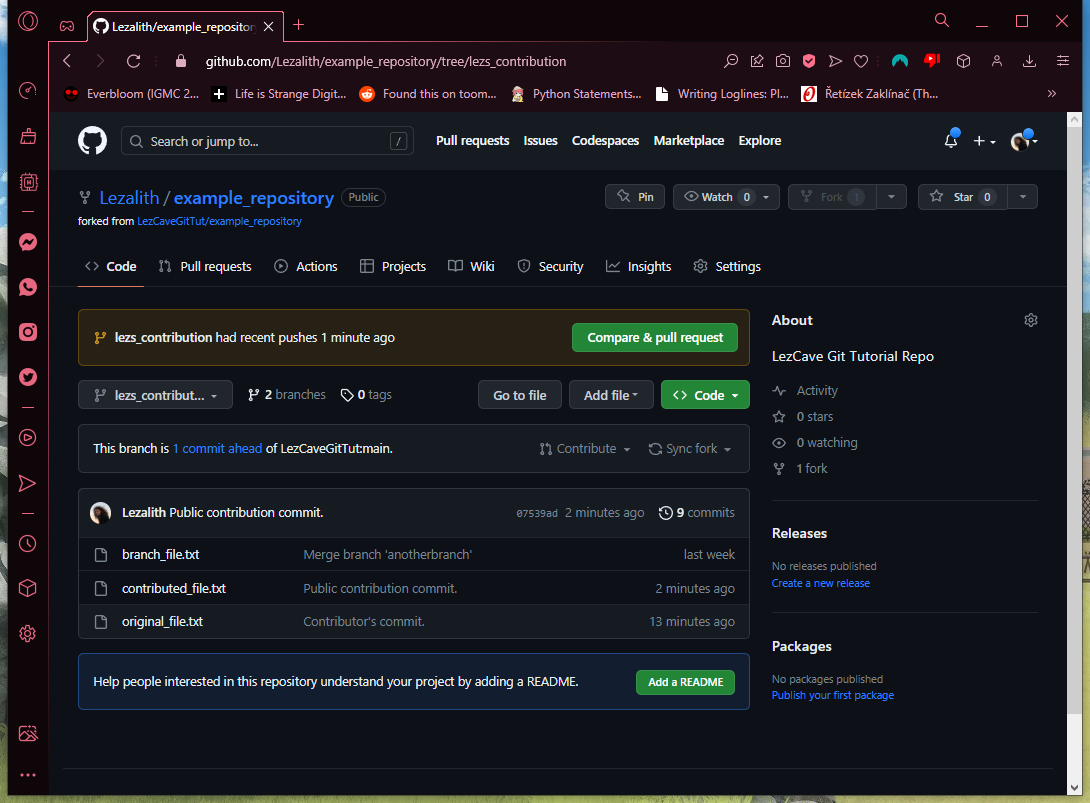 Git #7 - GitHub Collaborations :: Lezalith's Cave